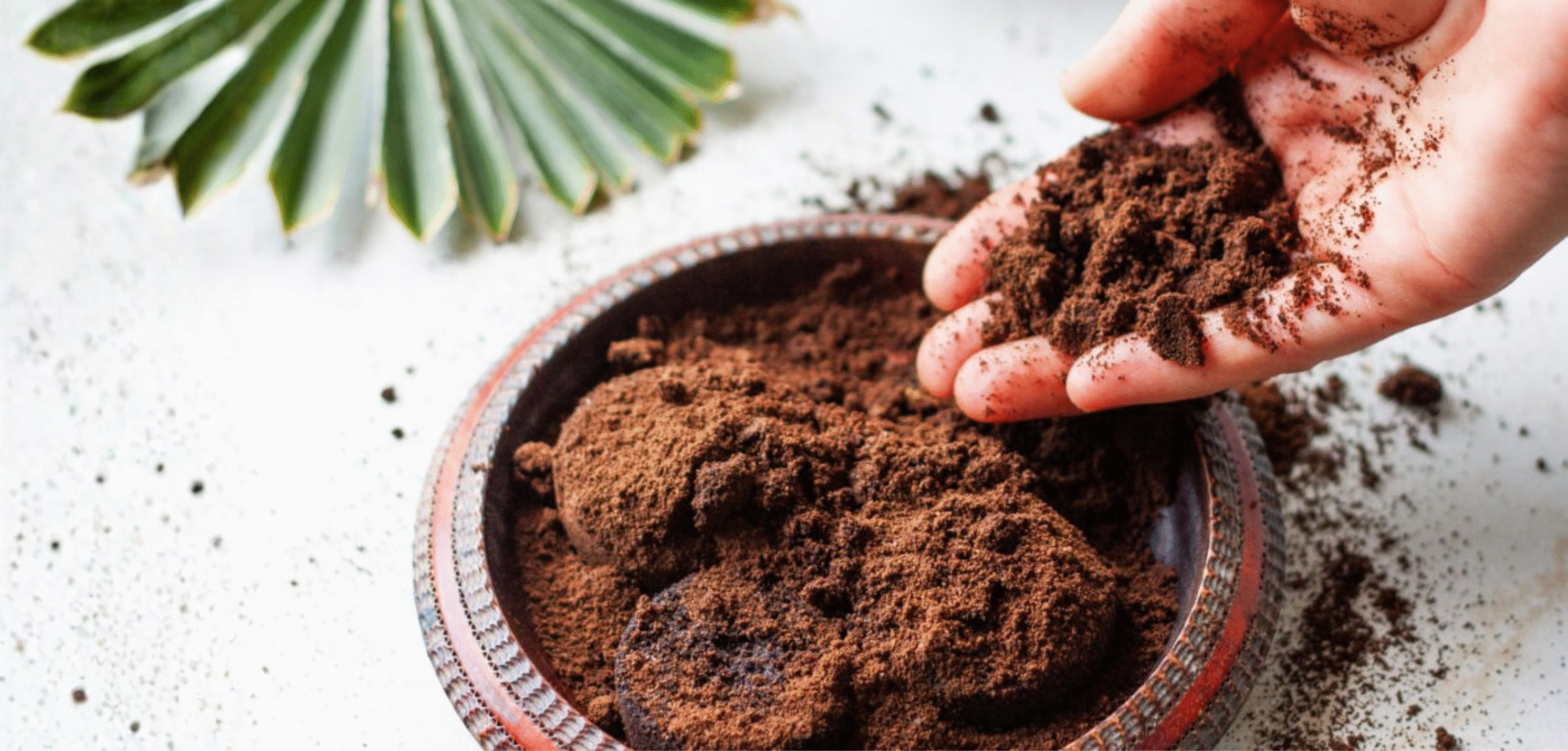 Getting creative with coffee grounds - Bodec